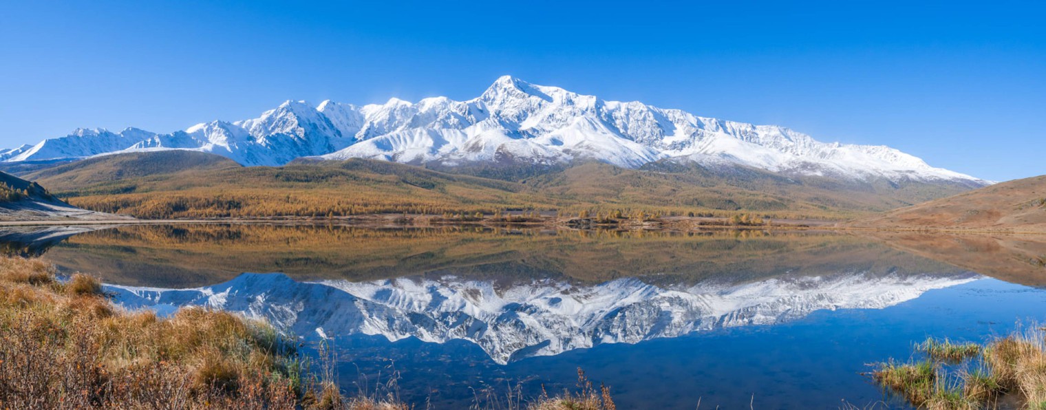 Вечно молодой