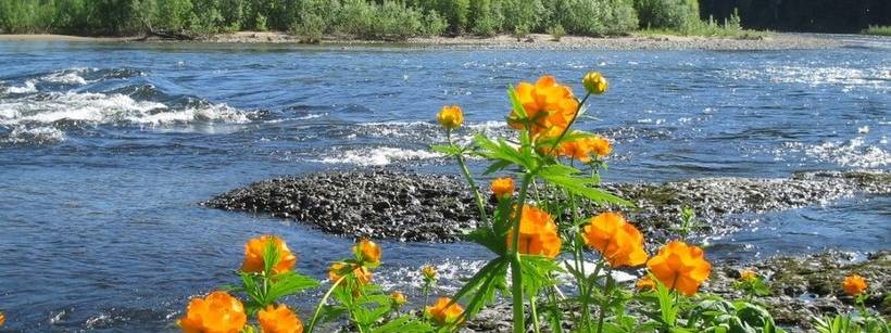 Олег Сибирь