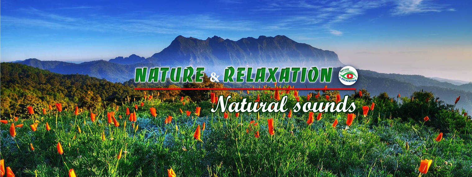 Природа And Relaxation