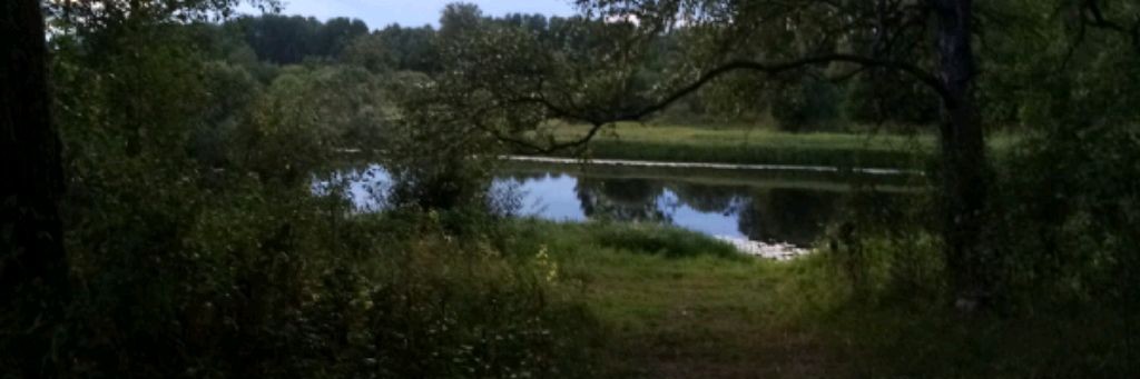 ХОЧУ В ТАЙГУ