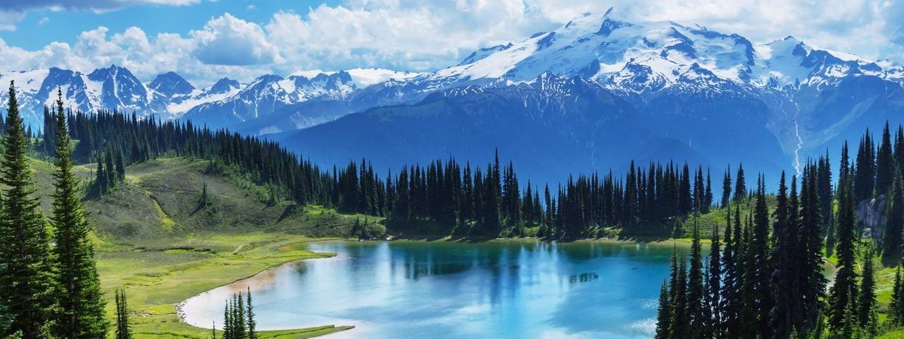 David  Markovich-ПОДПИШИТЕСЬ !  г.Шахты