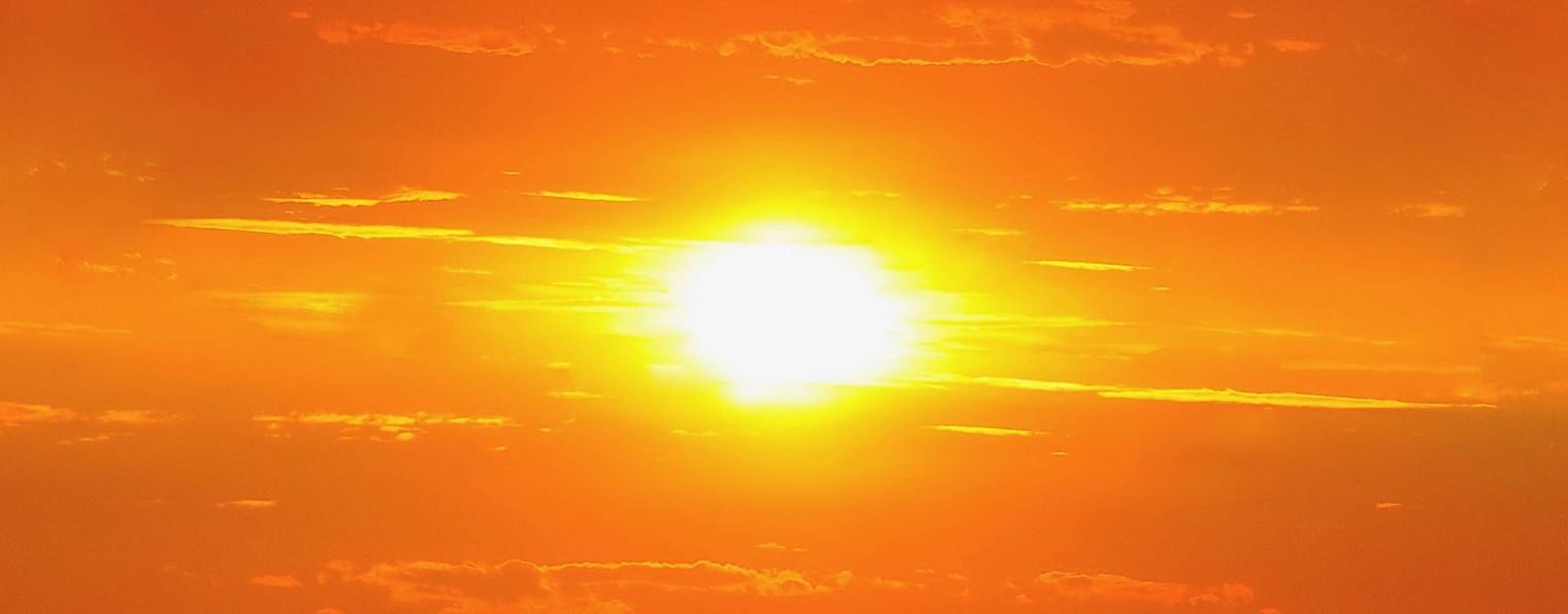 Векторный рисунок