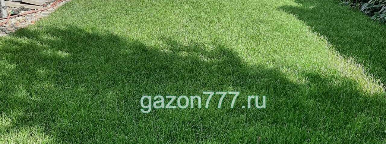 Рулонный газон