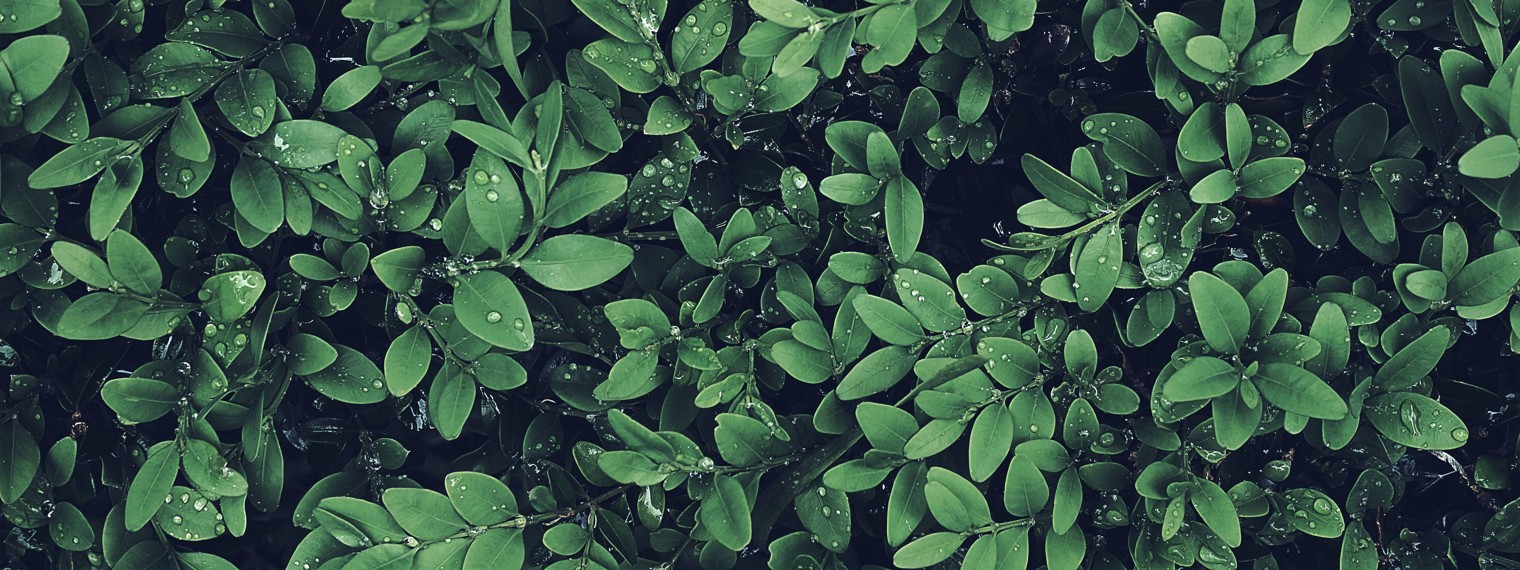 Релаксирующие звуки природы