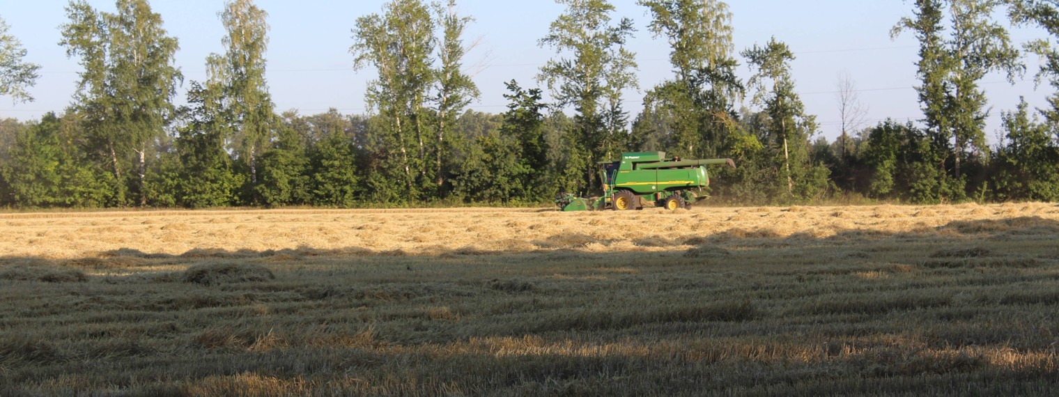 Владимир23901363