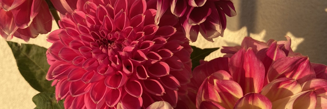 записки из жизни