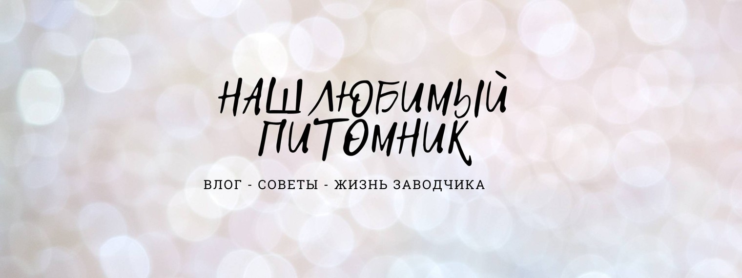 Наш Любимый Питомник