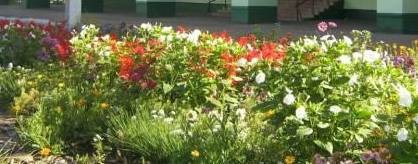 МБОУ СОШ № 12 РБ  г. Октябрьский