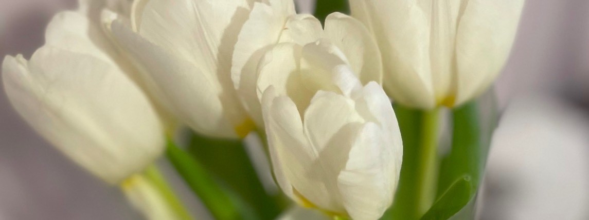 Анастасия Нистор