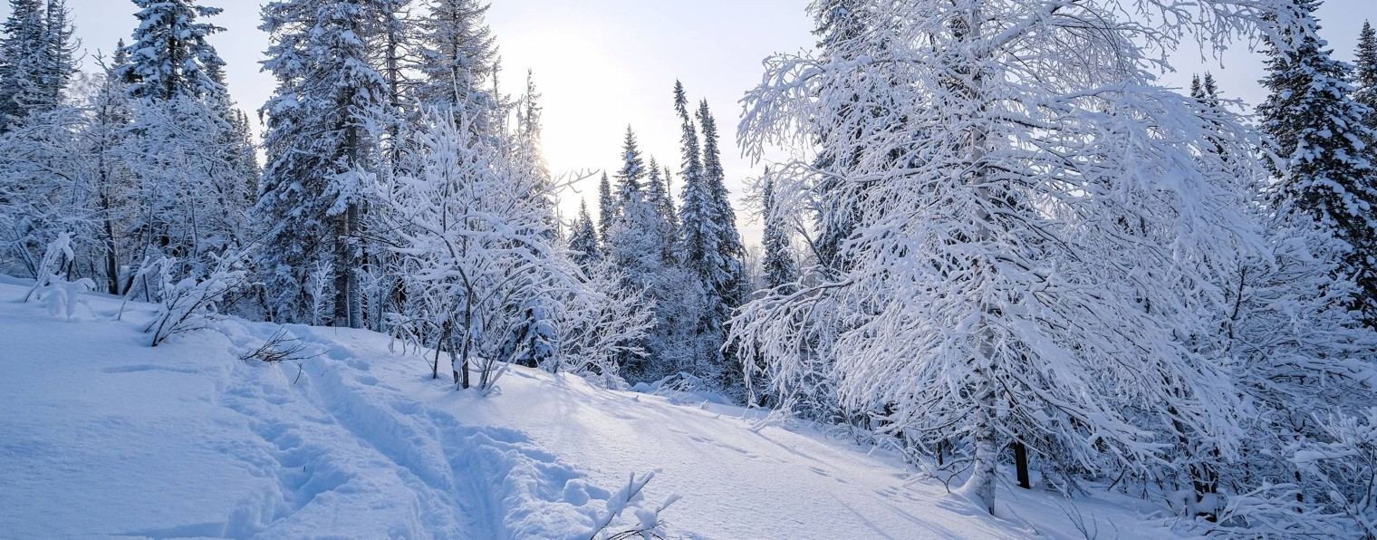 Тигирекский заповедник и национальный парк "Салаир