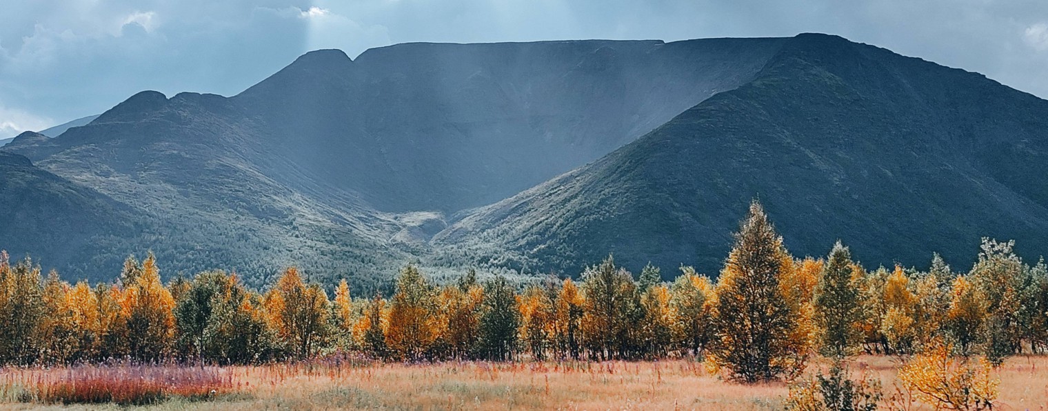 Погода в Кировске