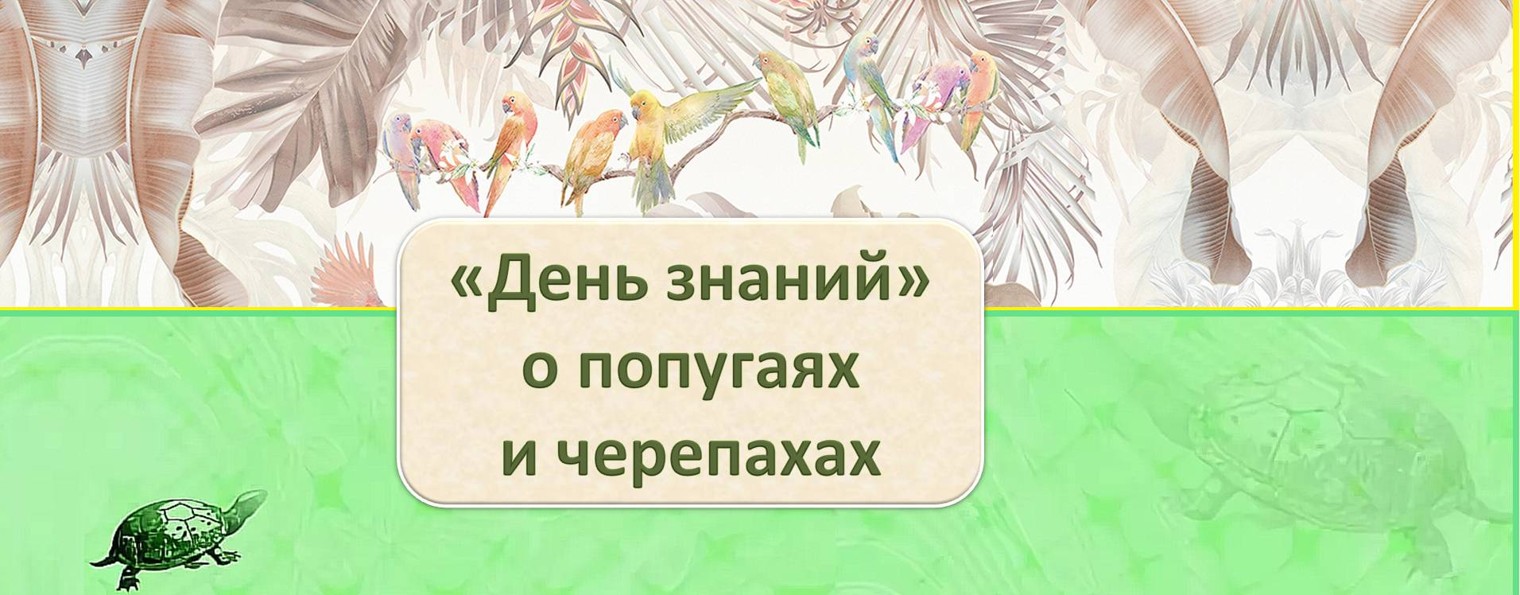 День знаний. Попугаи & Черепахи