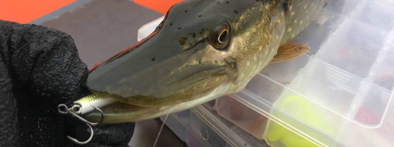 Щучий Хвост \ Tail of Pikes - TOP