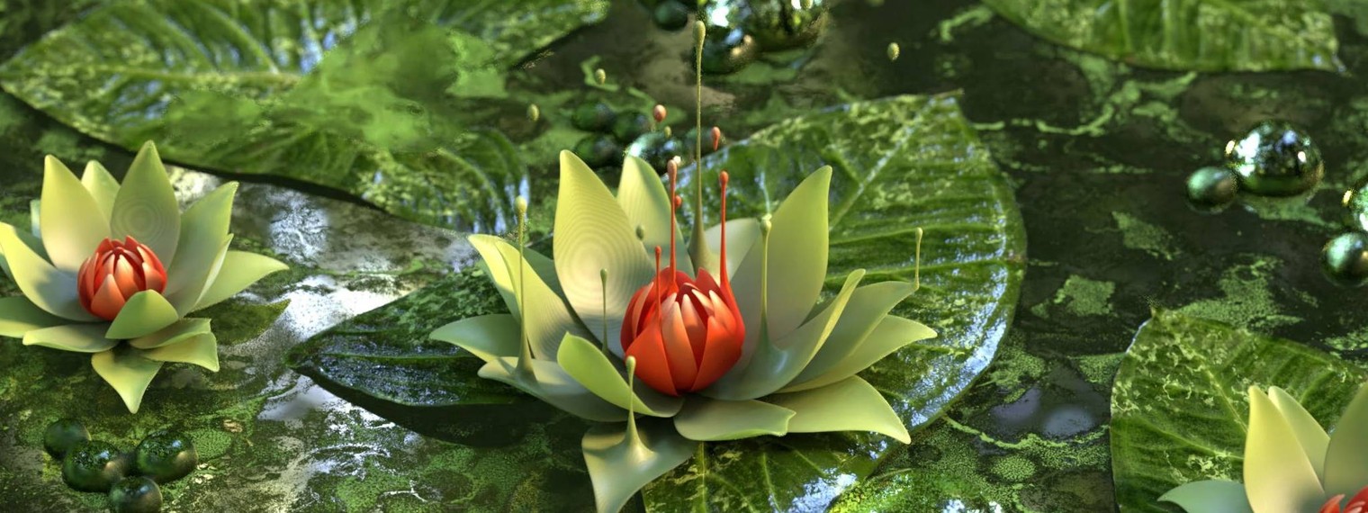 Елена из Минска (Беларусь)/Шкатулка Минской Птички