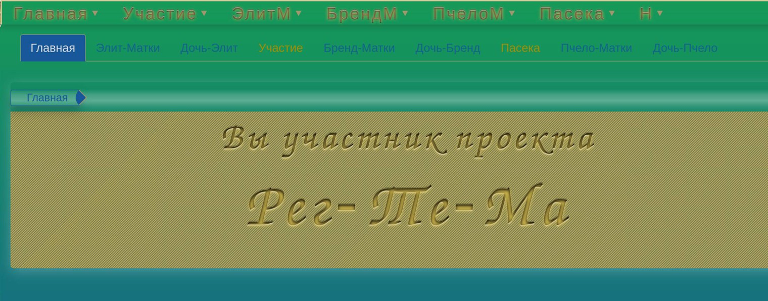 Репортаж из улья в ...