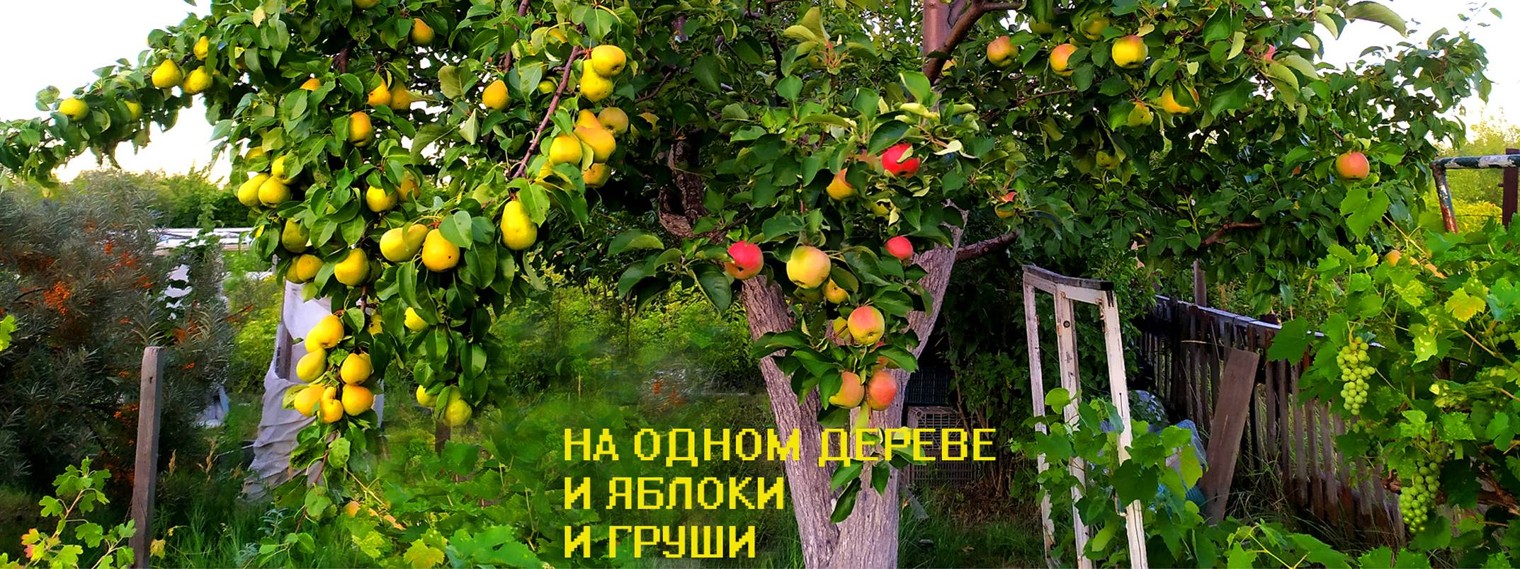 Виктор Соболев