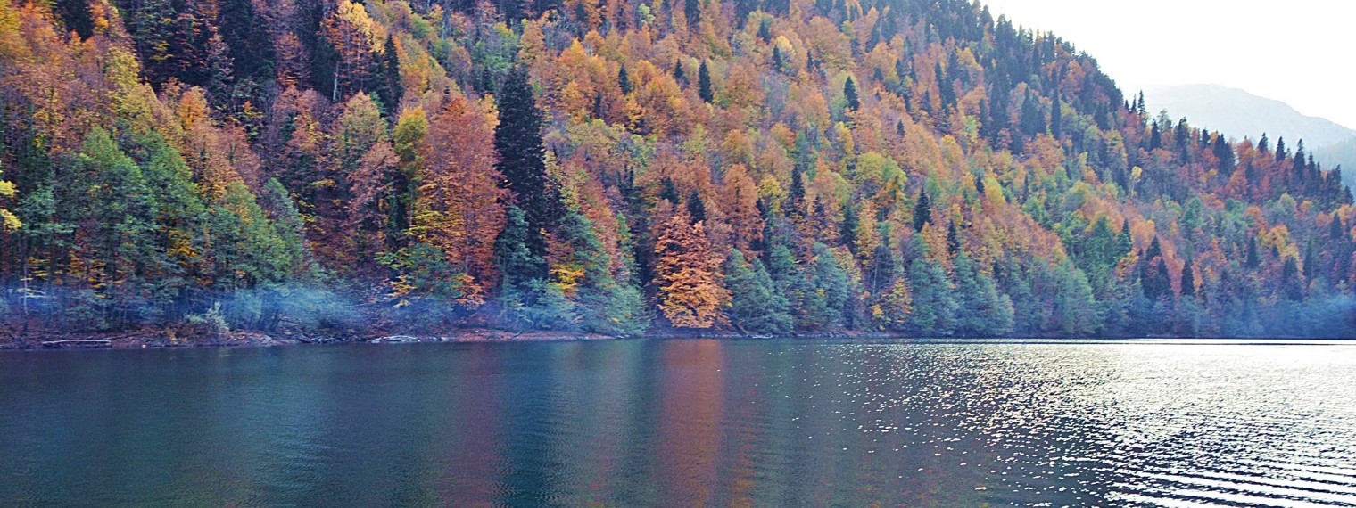 Валерий Журавлев