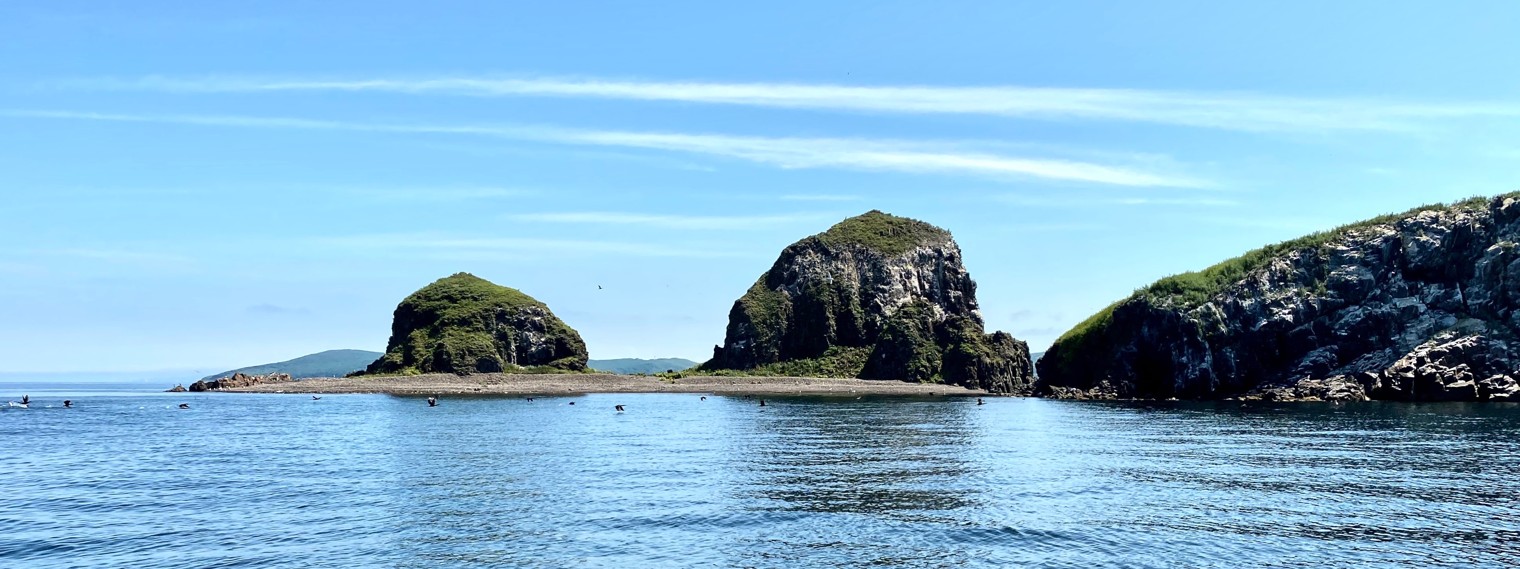 Александр М.