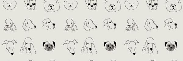 Дарт, но не Вейдер