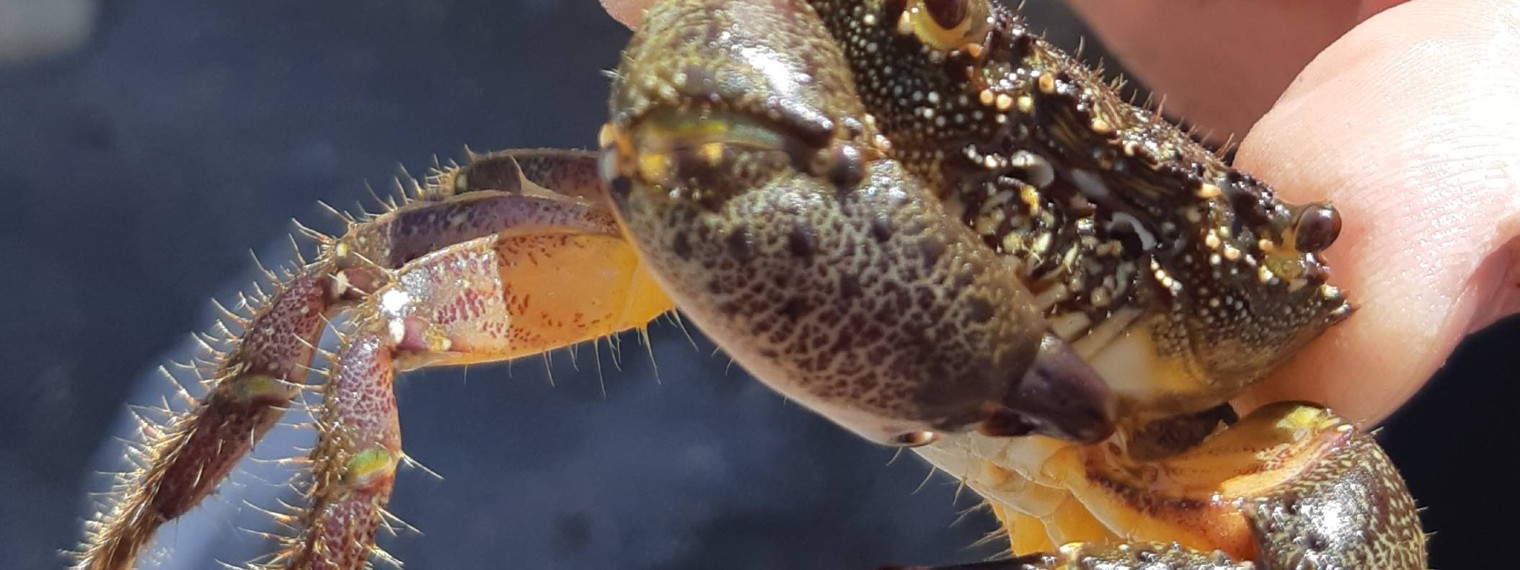 Коротко и ясно