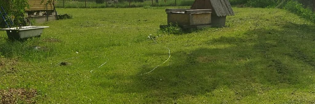 Планета ЗЕМЛЯ