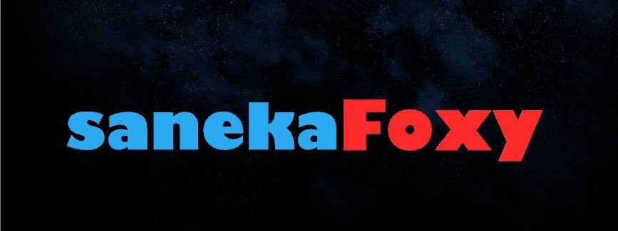 санёкаFoxy