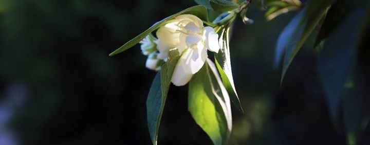 Экология и Бизнес