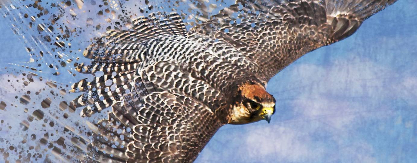 ВИКТОР КОРОЛЁВ ПОЭТ, ЧЛЕН СОЮЗА ПИСАТЕЛЕЙ РОССИИ