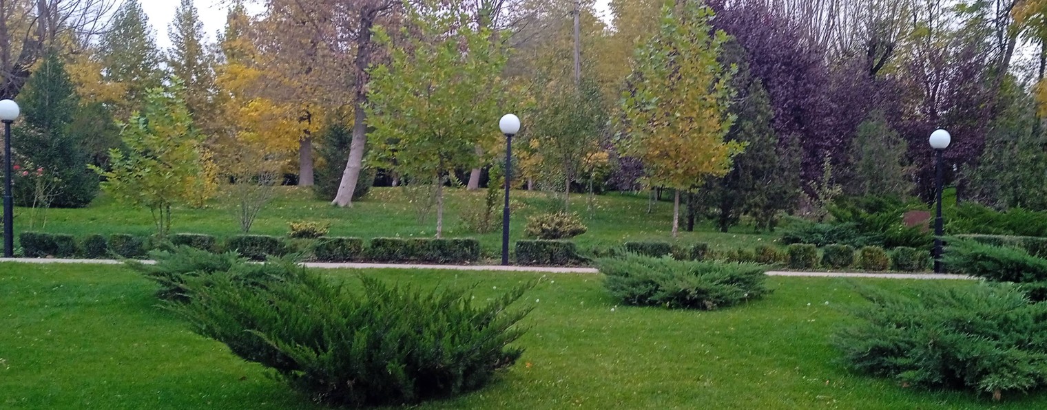 Нелля Харченко