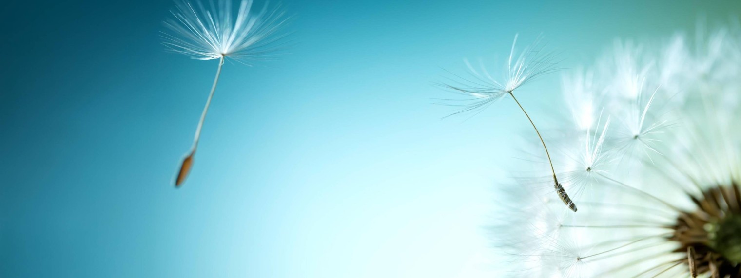 ОльгаШекунова