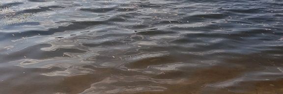 Лиза и Даня