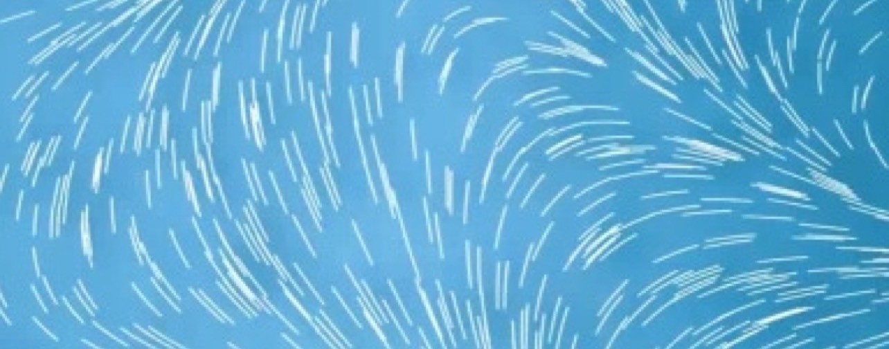 Попугай Соня!!! Жжёт!!!