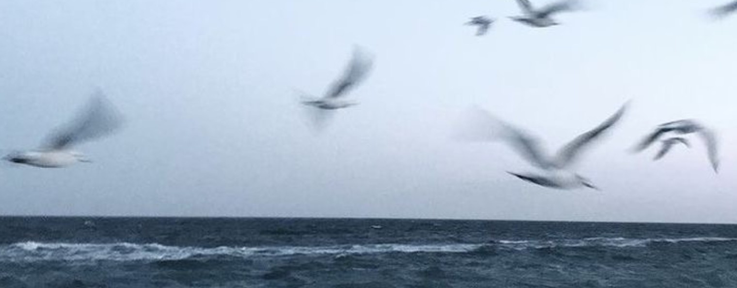 Анастасия Парамонова