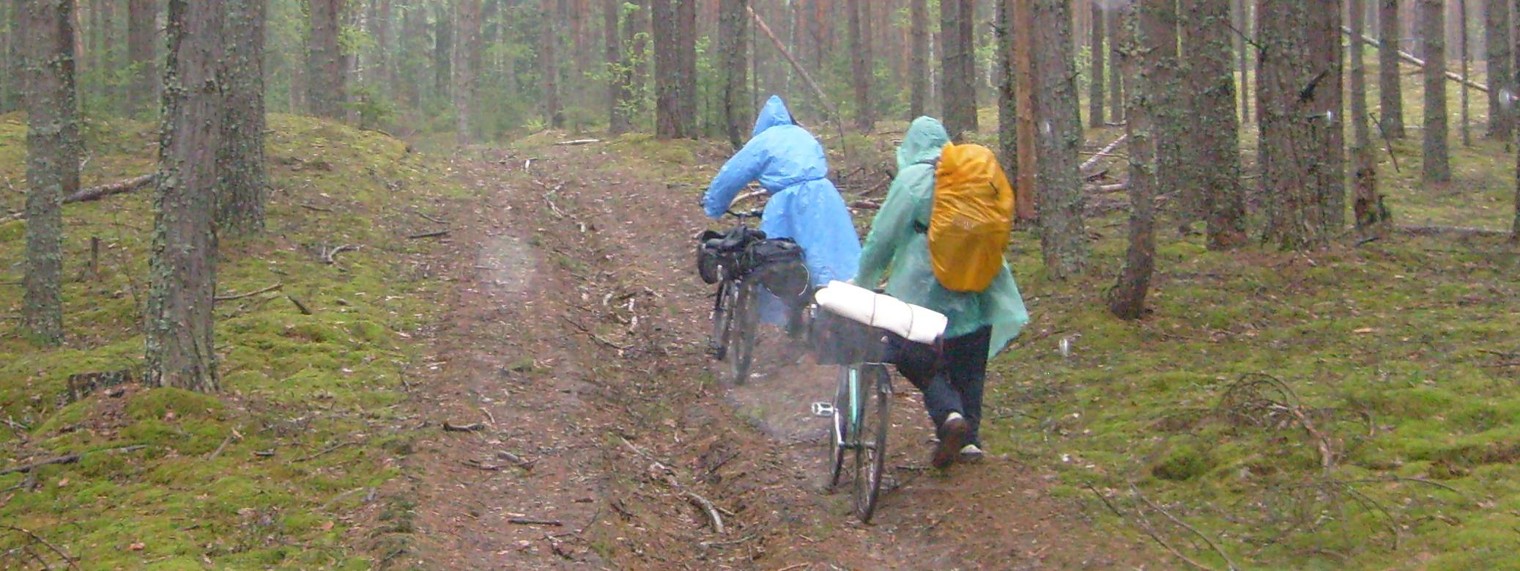 Вечное Движение