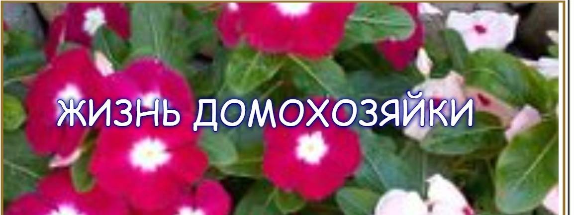 ЖИЗНЬ ДОМОХОЗЯЙКИ.СТРЕМИСЬ И РАЗВИВАЙСЯ!!!