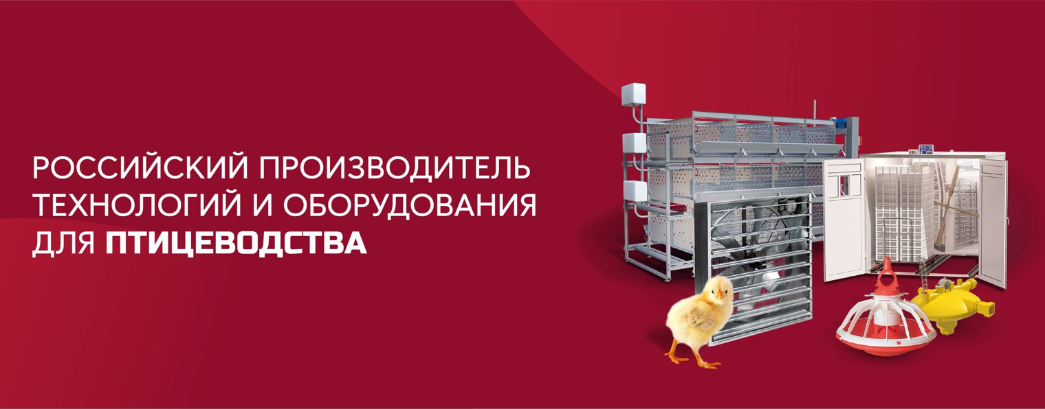 Стимул Групп