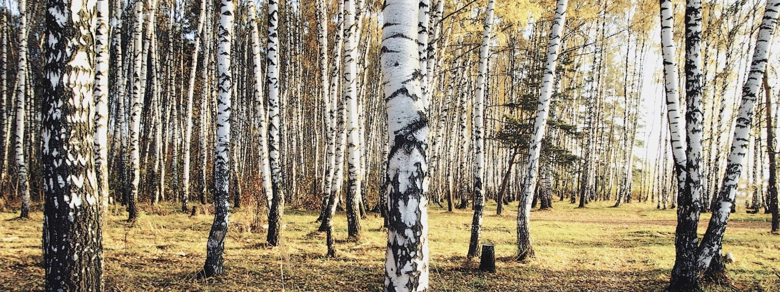 Просто о медицине. Доктор Ушаков АН