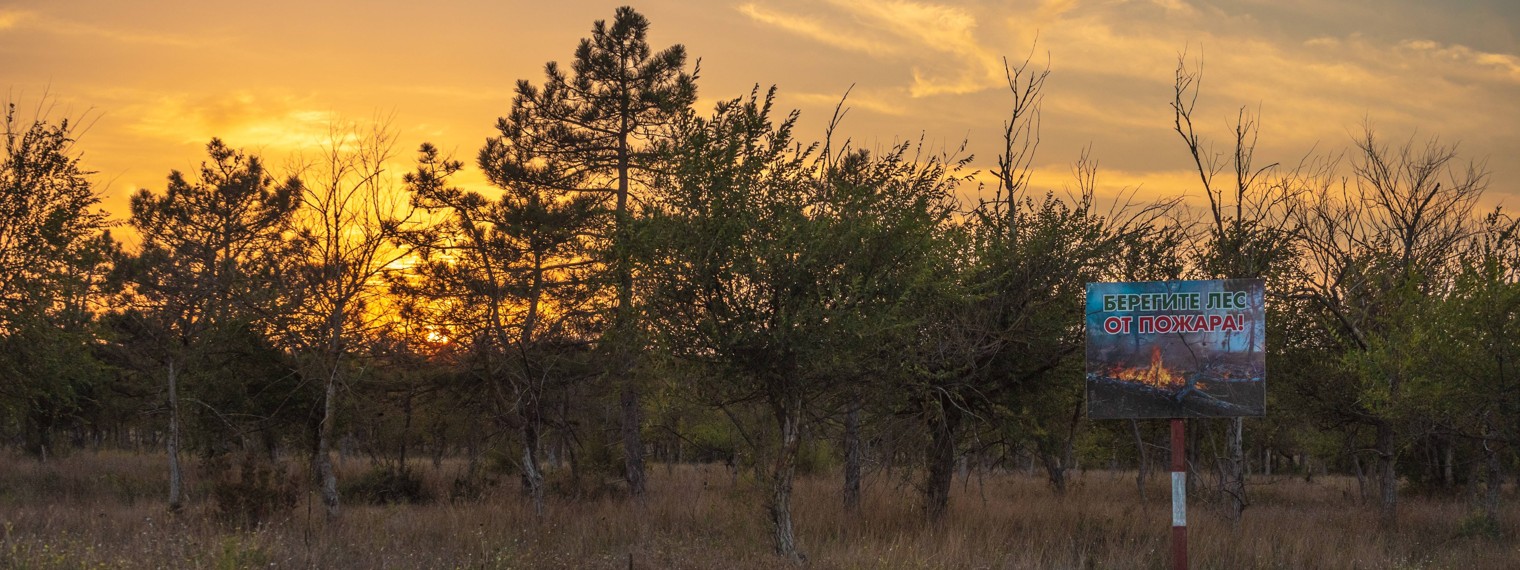 Фотограф Дарья Меркулова * Bright Russia