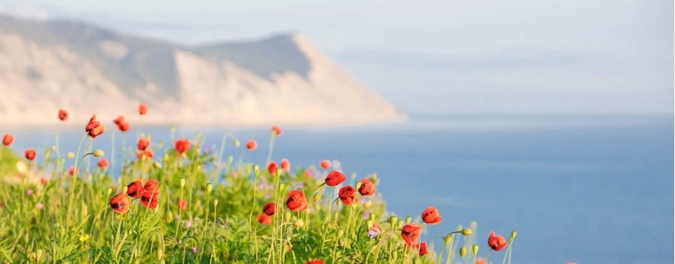 По Анапе с ветерком