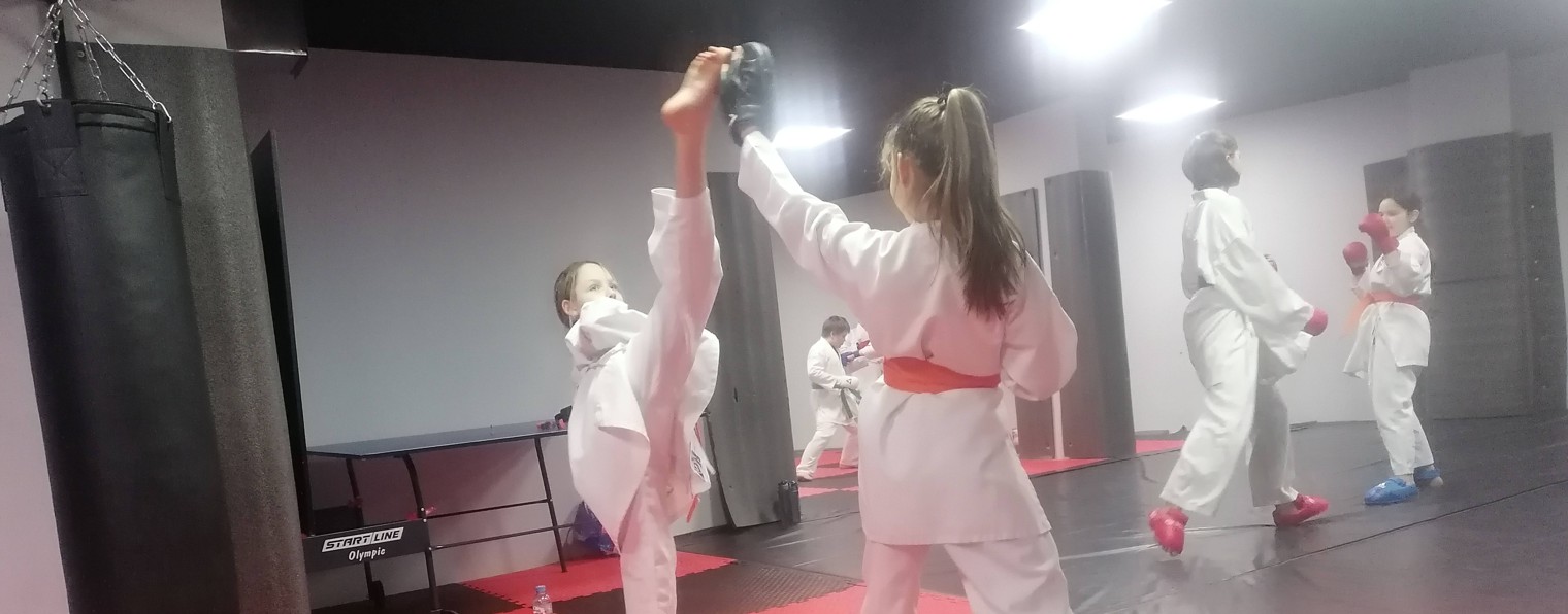 ОЛИМПИЙСКОЕ КАРАТЭ (WKF) В Бирюлево Восточном