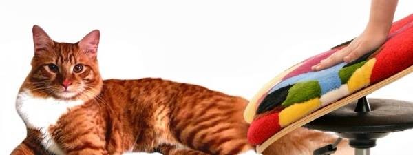 Танцующий Стул