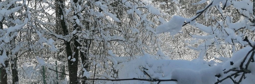 Лилия Шевченко