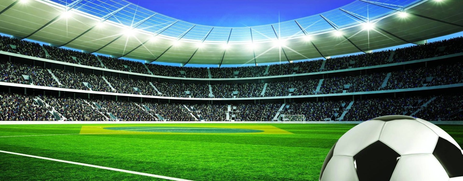 Чемпионат Мира 2014