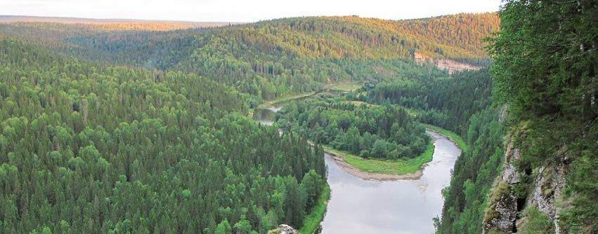 В гостях у Макса