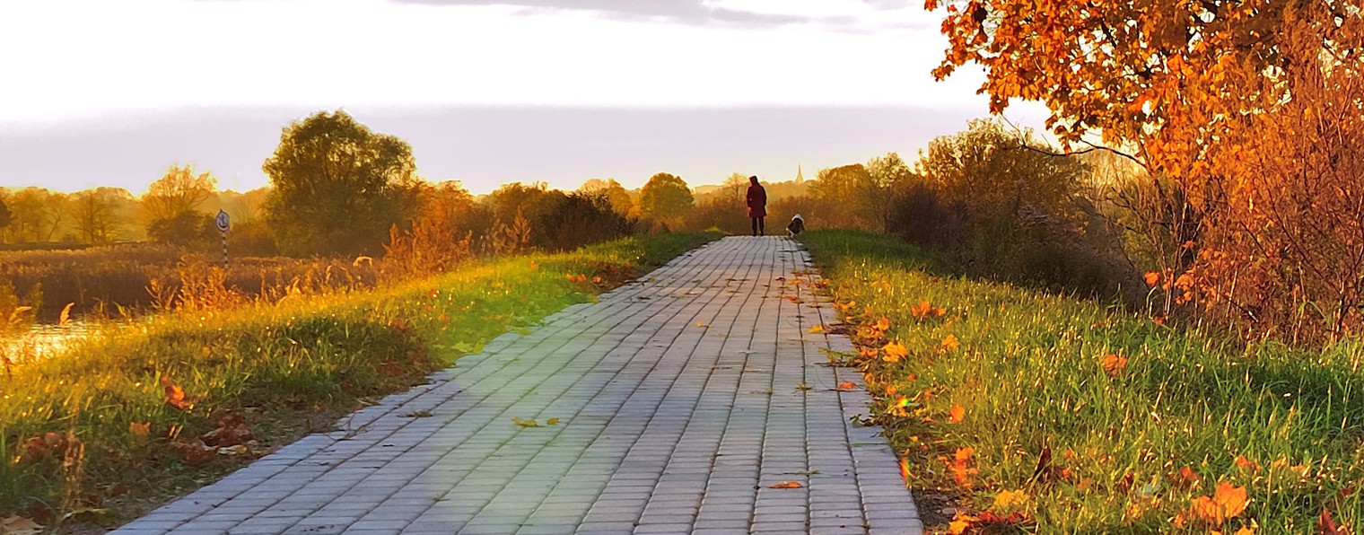 Людмила Гончарова-Боголюбова