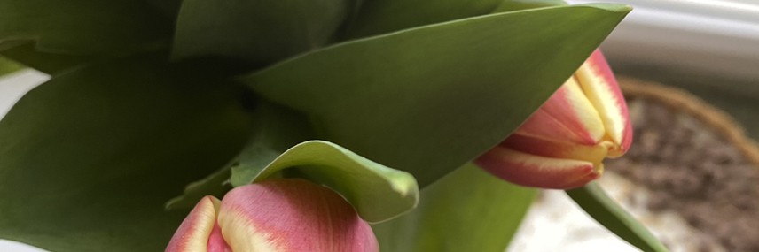 Анастасия | о вкусных рецептах