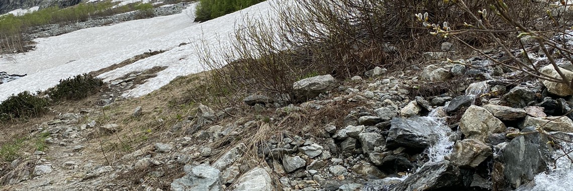 Виктория Землякова