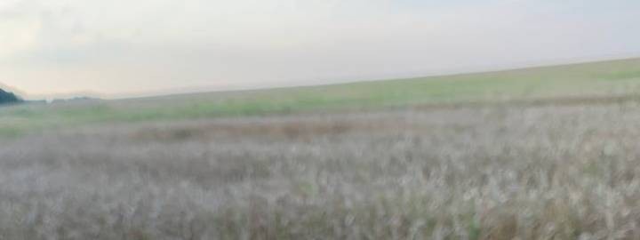 Битва в Подольске