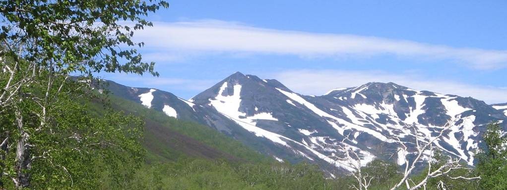 Геша Тверской