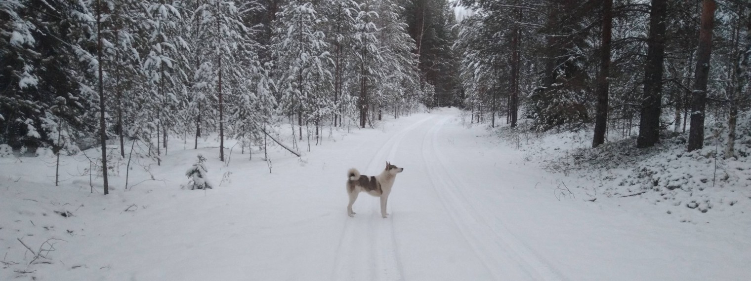 Сельская жизнь!